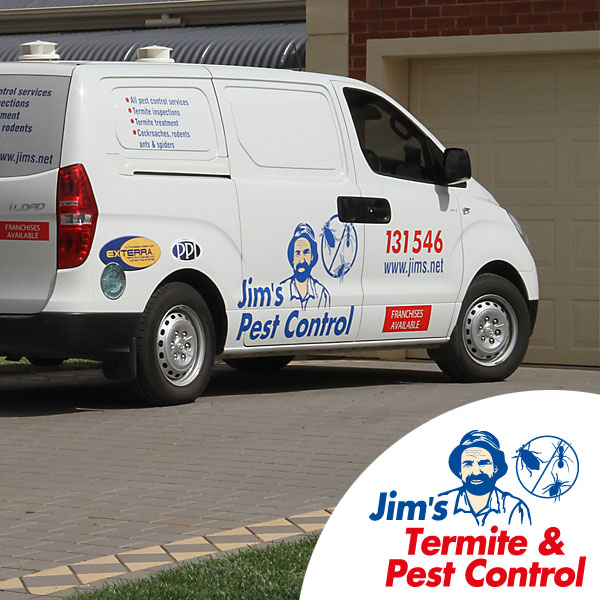 Local Albury Pest Control by Jim's - 30 years experience in the area